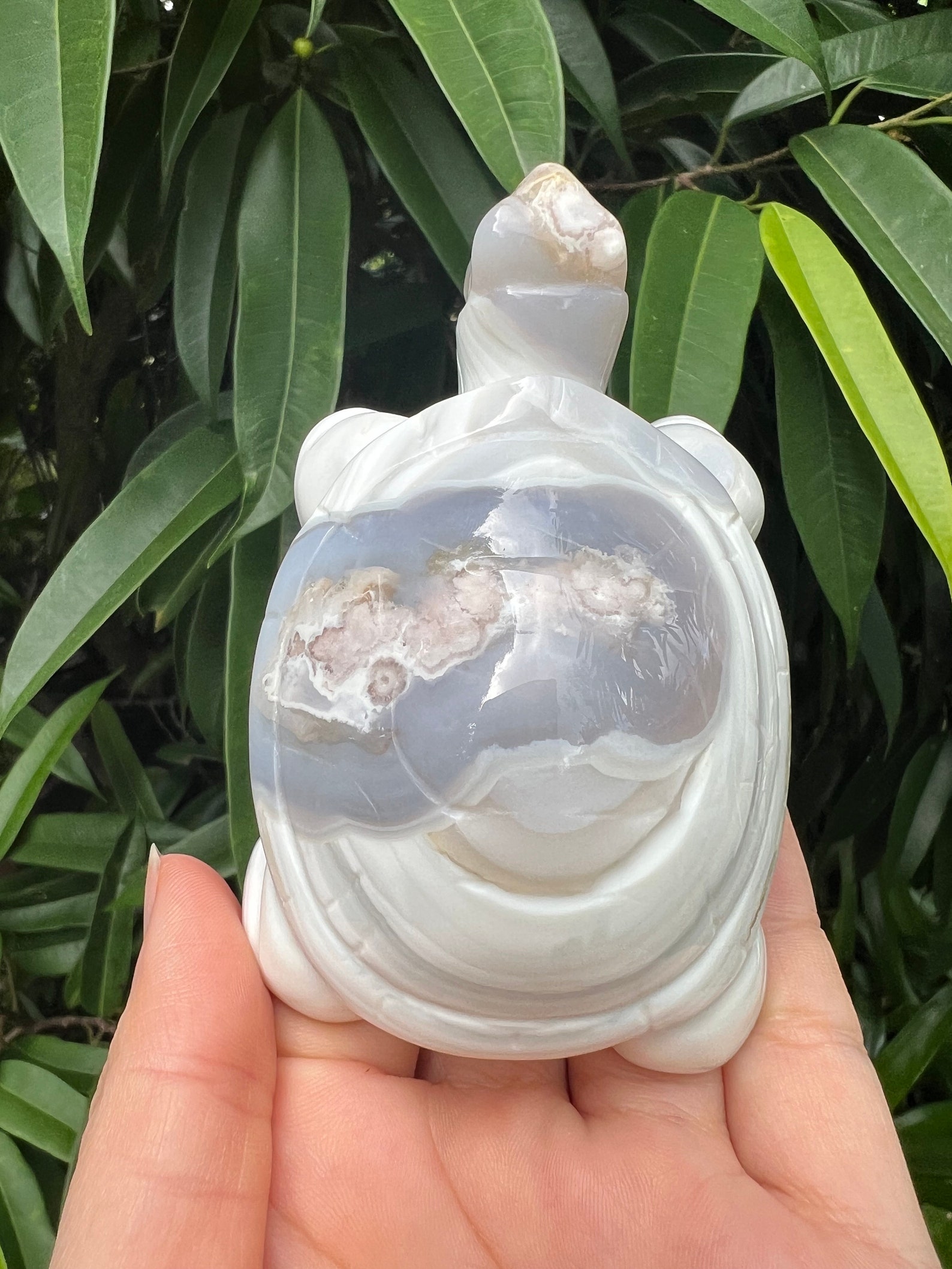 Banded Flower Agate Crystal Turtle Carving, Turtle Spirit Animal Totem ...