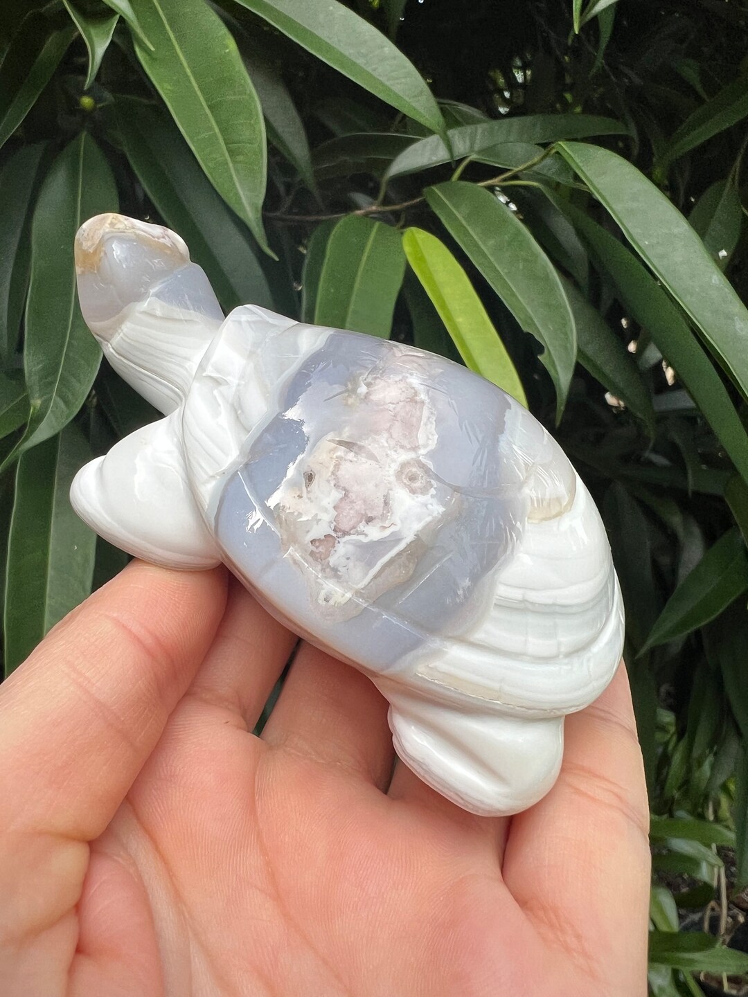 Banded Flower Agate Crystal Turtle Carving, Turtle Spirit Animal Totem ...