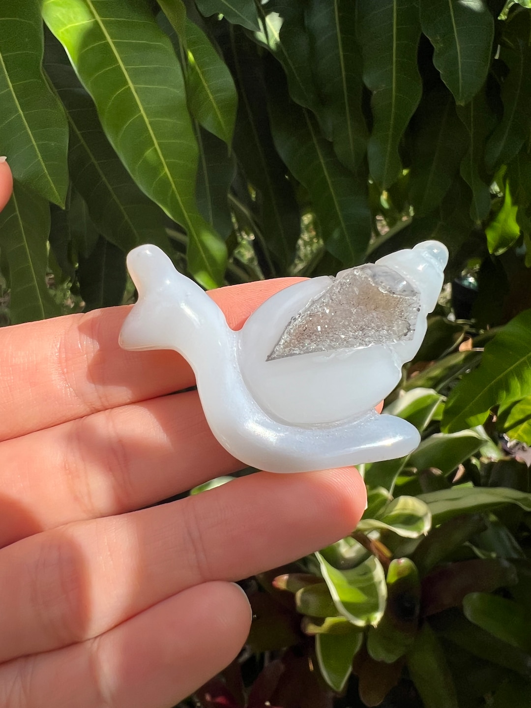 Druzy Agate Crystal Snail Carving, Snail Crystal Decor - Etsy