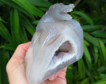 Alligator Agate - Etsy