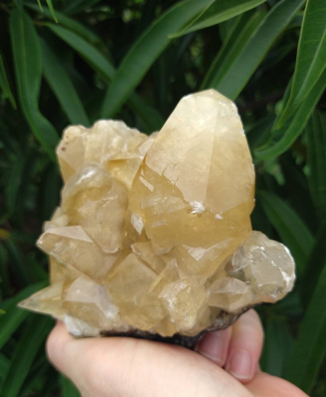 Dogtooth Spar Calcite Crystal Cluster With Pyrite on Matrix - Etsy