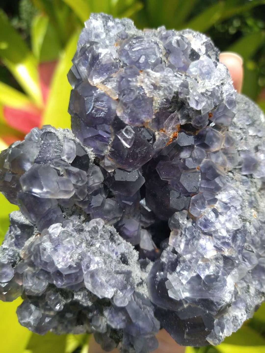 Large Purple Fluorite Geode: Raw Mineral Specimen, Metaphysical Gift - Etsy