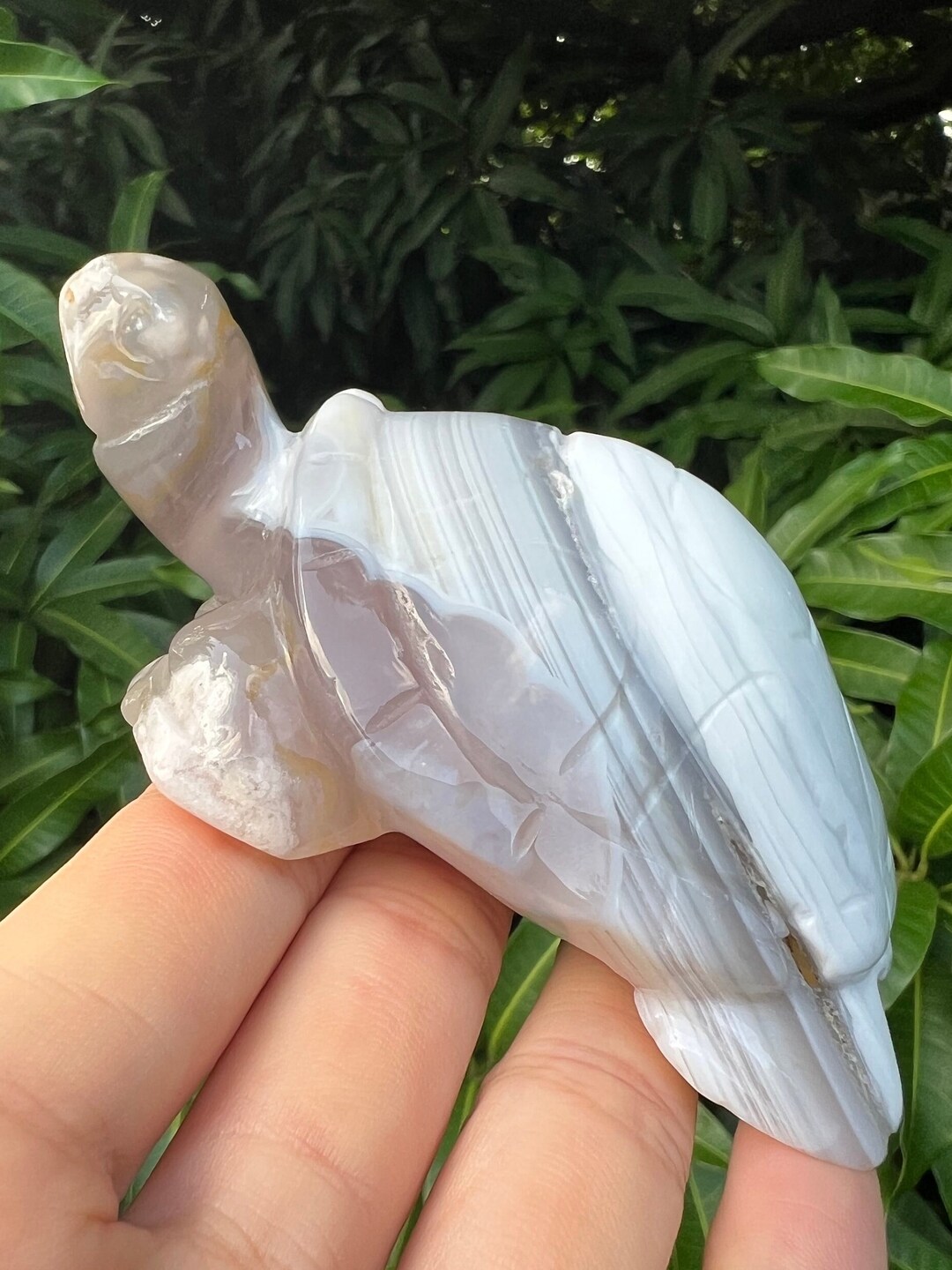Banded Flower Agate Crystal Turtle Carving, Turtle Spirit Animal Totem ...