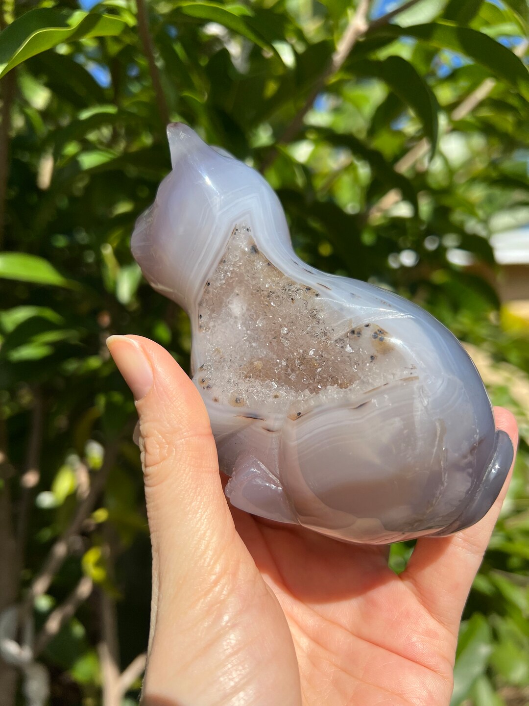 Large Druzy Crystal Geode Cat Agate Carving Gift for Felin Lovers and ...