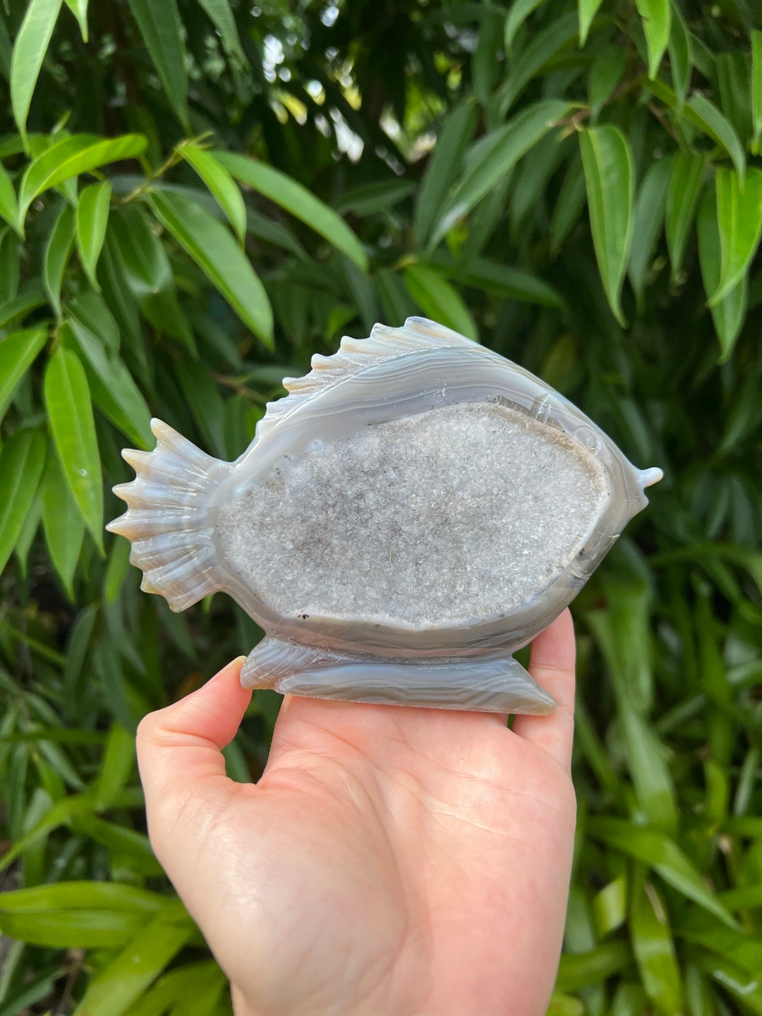 Druzy Agate Crystal Fish Carving Agate Geode Aquatic Animal Carving - Etsy