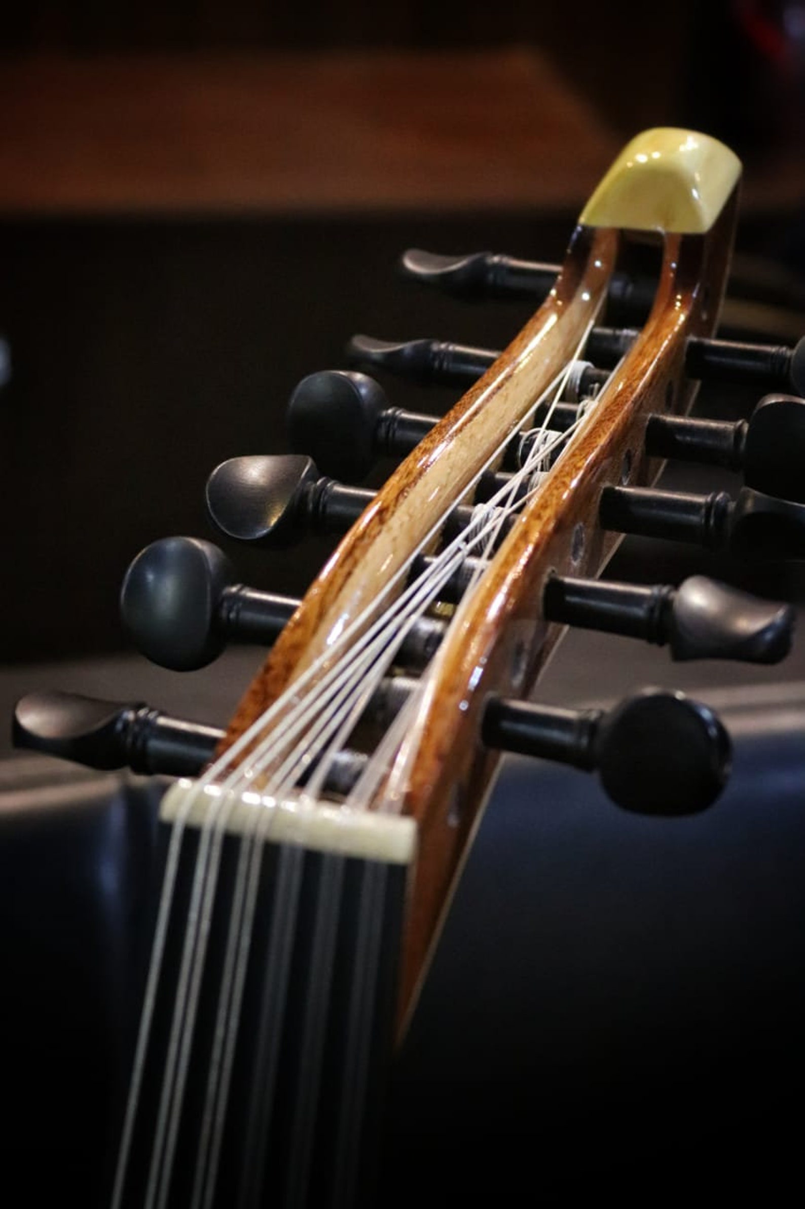 High Quality Oud Made by Zeryab Iraq 19 -oud Instrument - Etsy