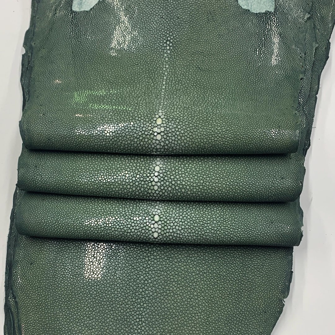 Green Stingray Skin Leather Hide Fish Natural, Polished Surface, for ...