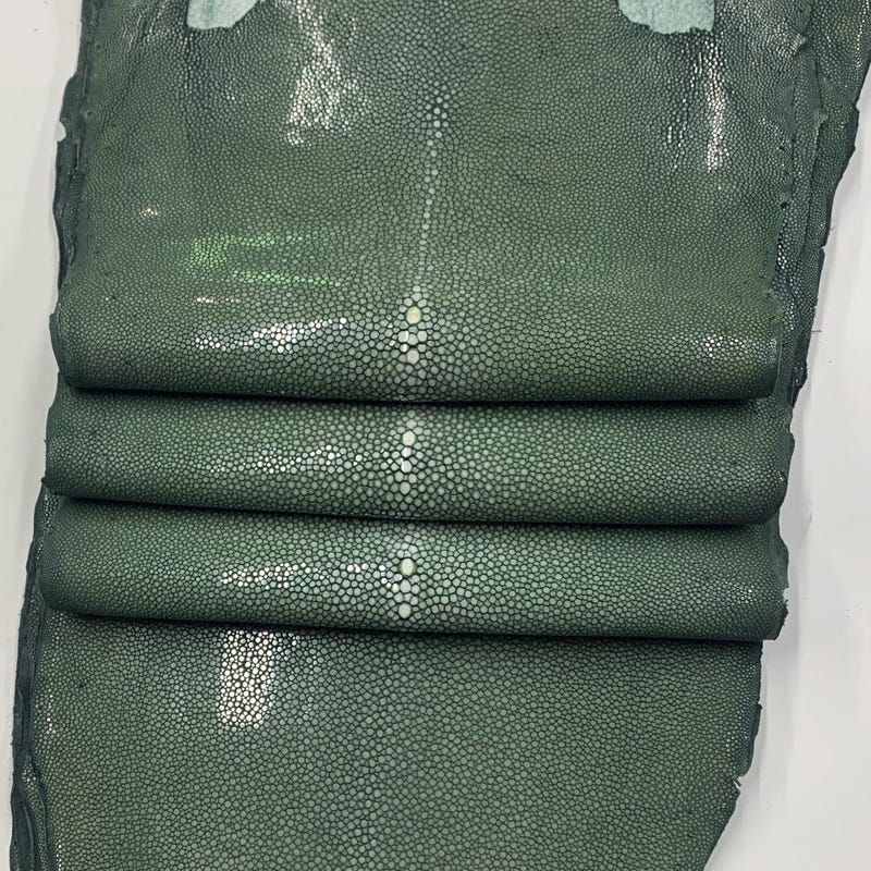 Green Fish Leather - Etsy