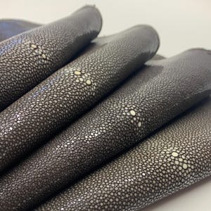 Stingray Skin Hide Fish Skin Natural Leather, Brown Polished Surface ...