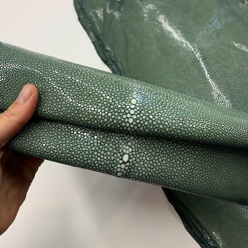 Green Stingray Skin Leather Hide Fish Natural, Polished Surface, for ...