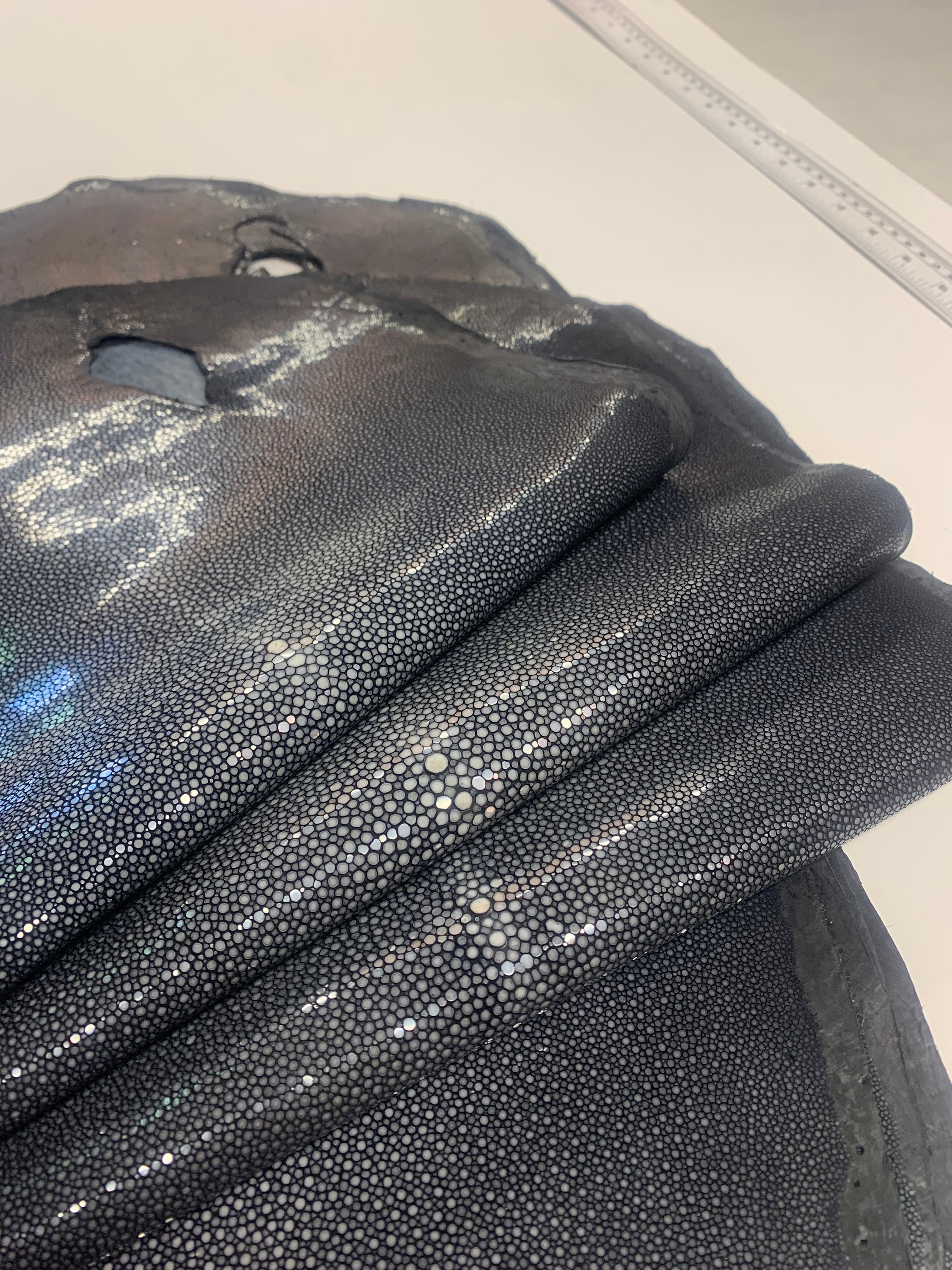 Stingray Skin Hide Fish Skin Natural Leather, Black Polished Surface ...