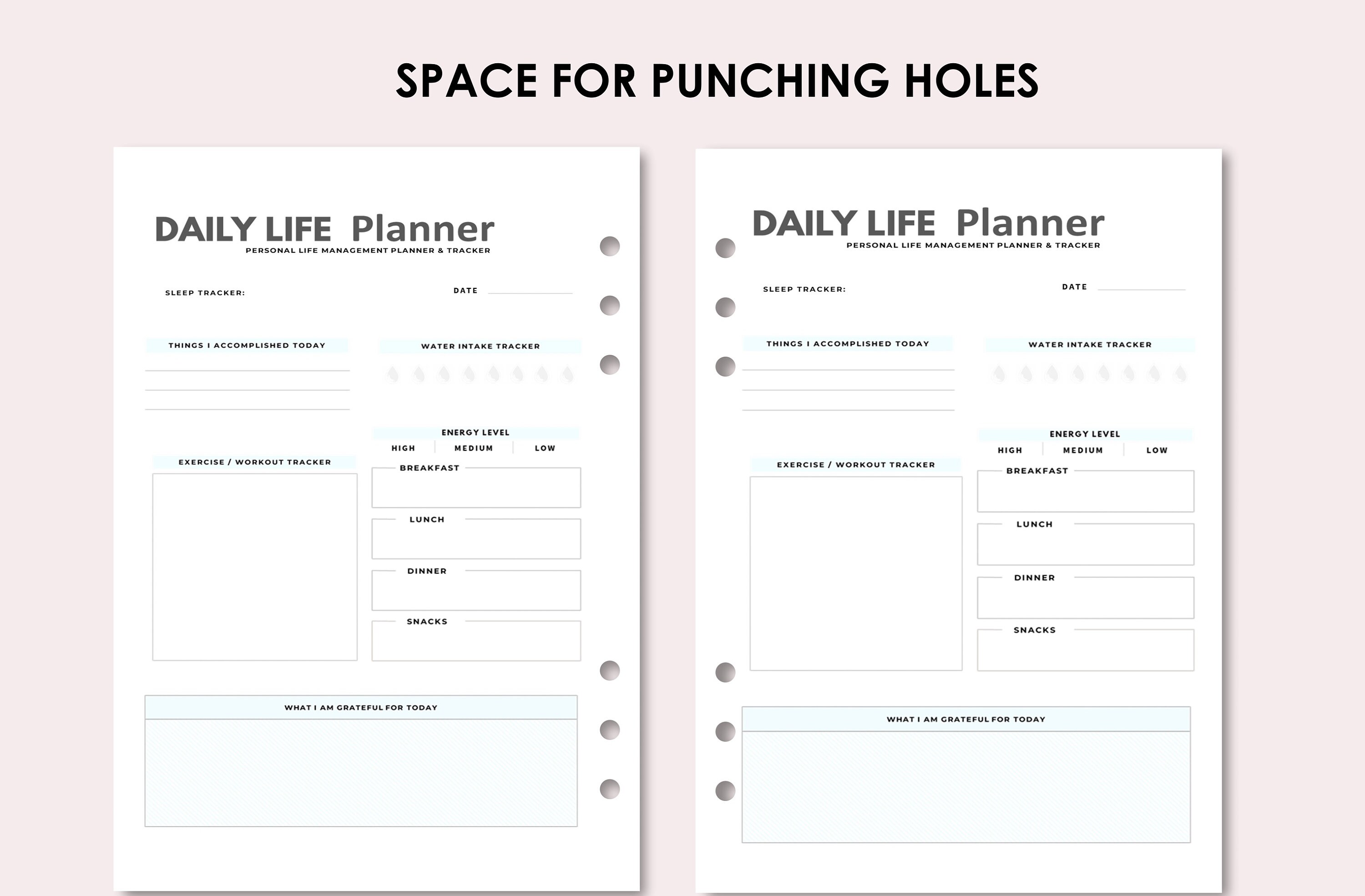 Printable Life Planner, Wellbeing Template, Wellness Tracker, Life ...
