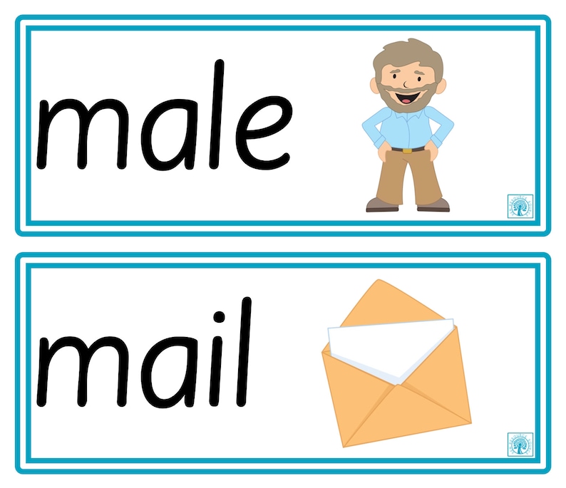 Homophone Flash Cards - Etsy