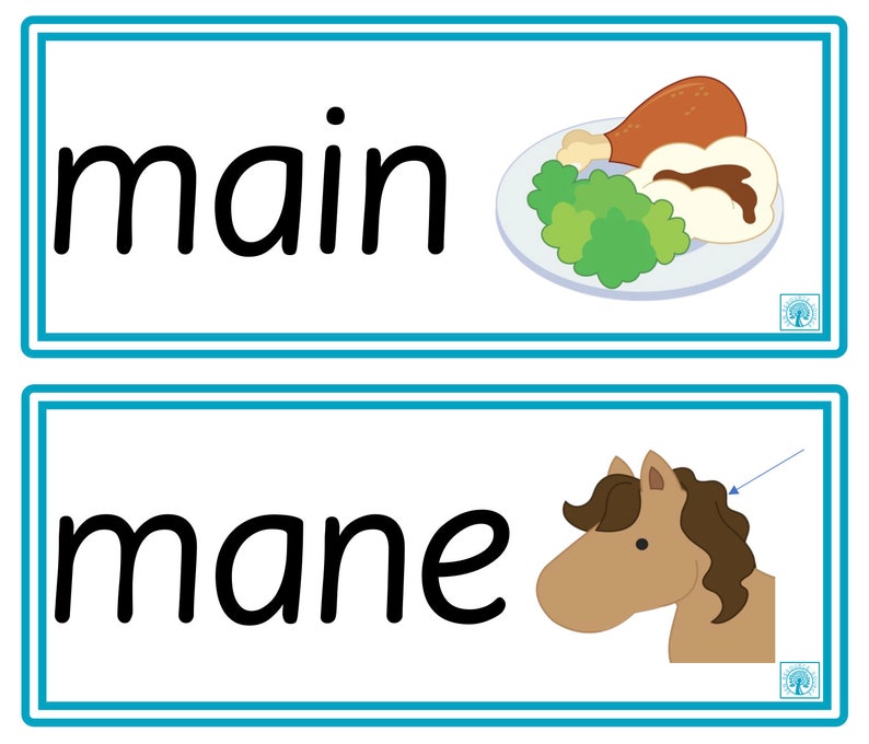 Homophone Flash Cards - Etsy