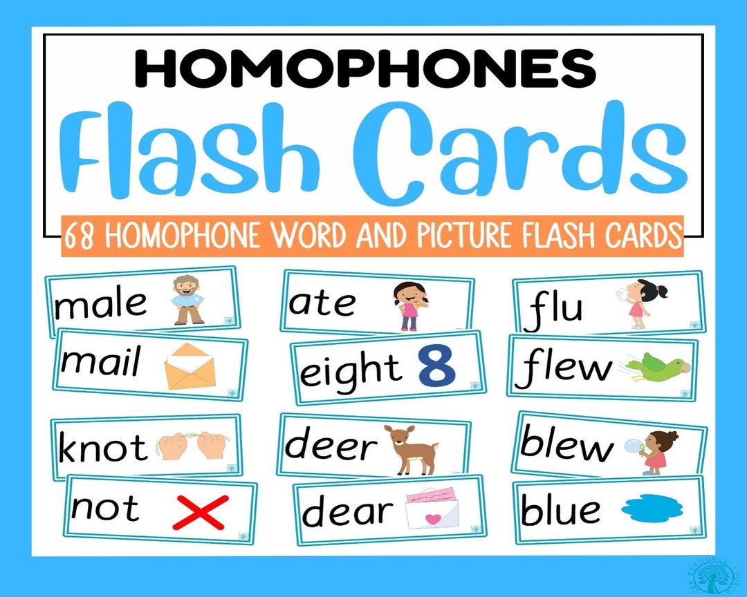 Homophone Flash Cards - Etsy
