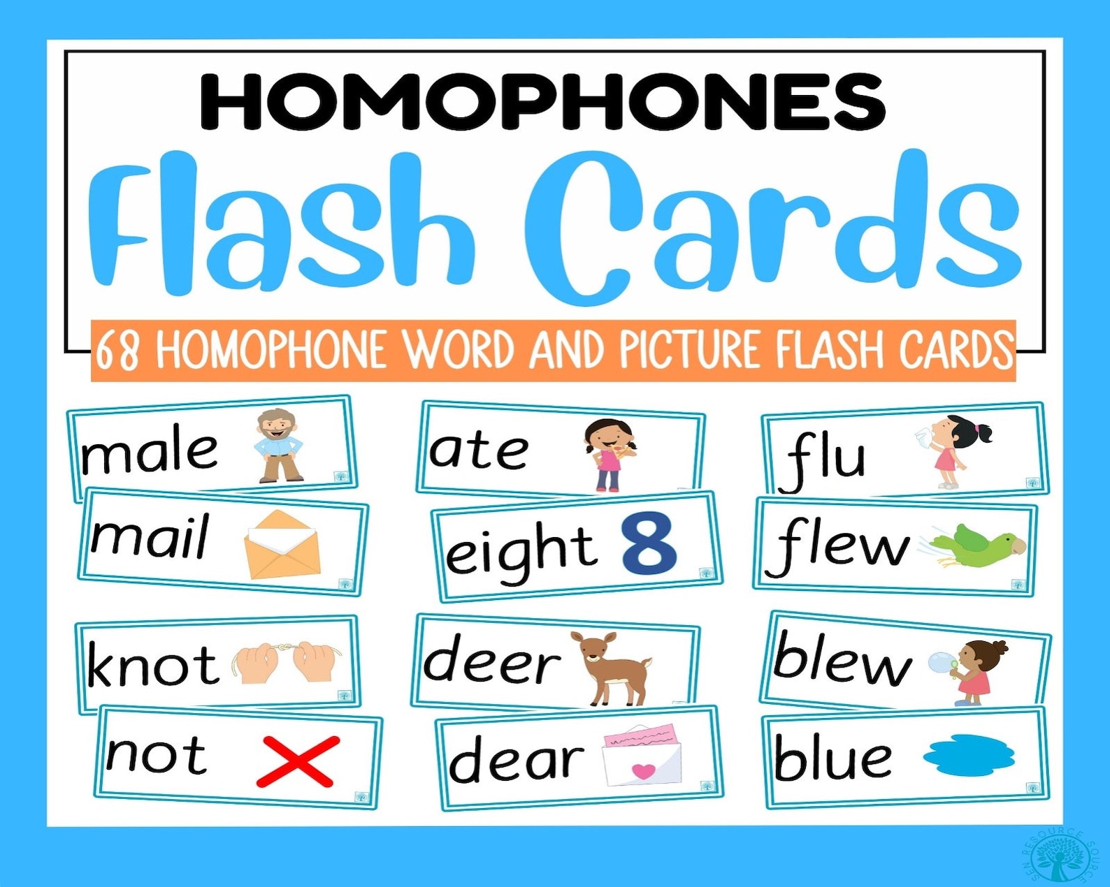 Homophone Flash Cards - Etsy