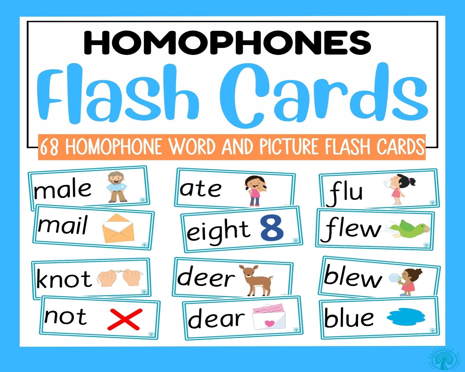 Homophone Flash Cards - Etsy
