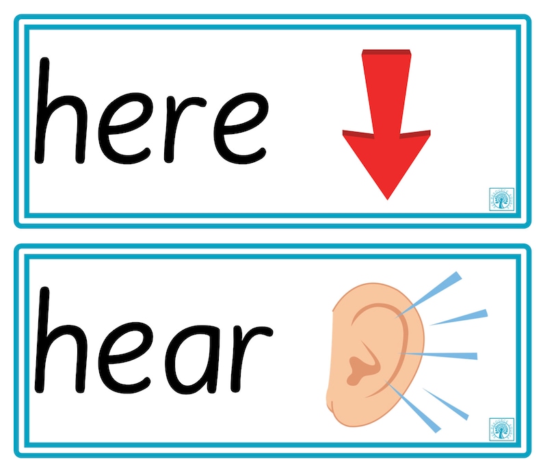 Homophone Flash Cards - Etsy