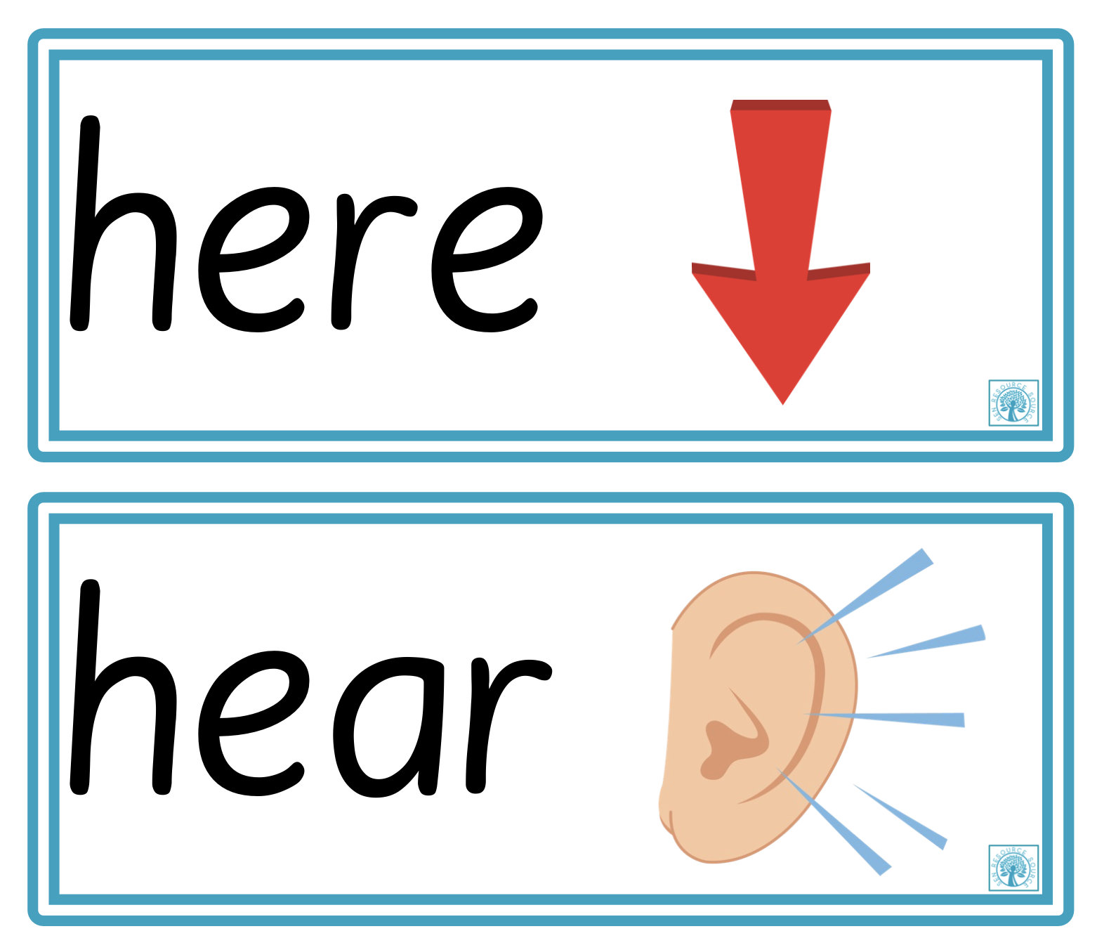 Homophone Flash Cards - Etsy