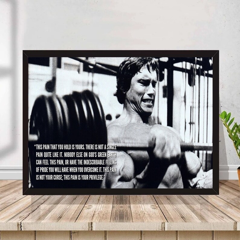 Arnold Schwarzenegger Bodybuilding Poster Canvas Wall Art Home - Etsy