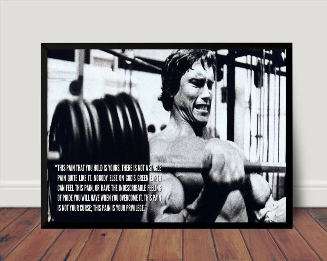 Arnold Schwarzenegger Bodybuilding Poster Canvas Wall Art Home Decor no ...