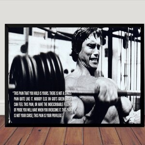 Arnold Schwarzenegger Bodybuilding Poster Canvas Wall Art Home Decor no ...