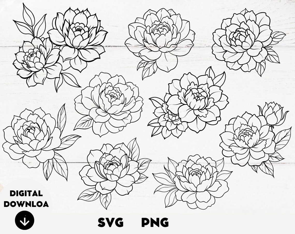 Pion Flower Svg Bundle,flower Svg, Flower Sublimation Design ...
