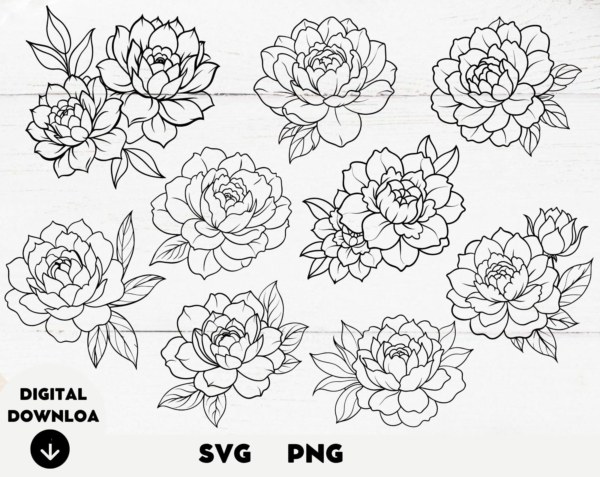 Pion Flower Svg Bundle,flower Svg, Flower Sublimation Design ...