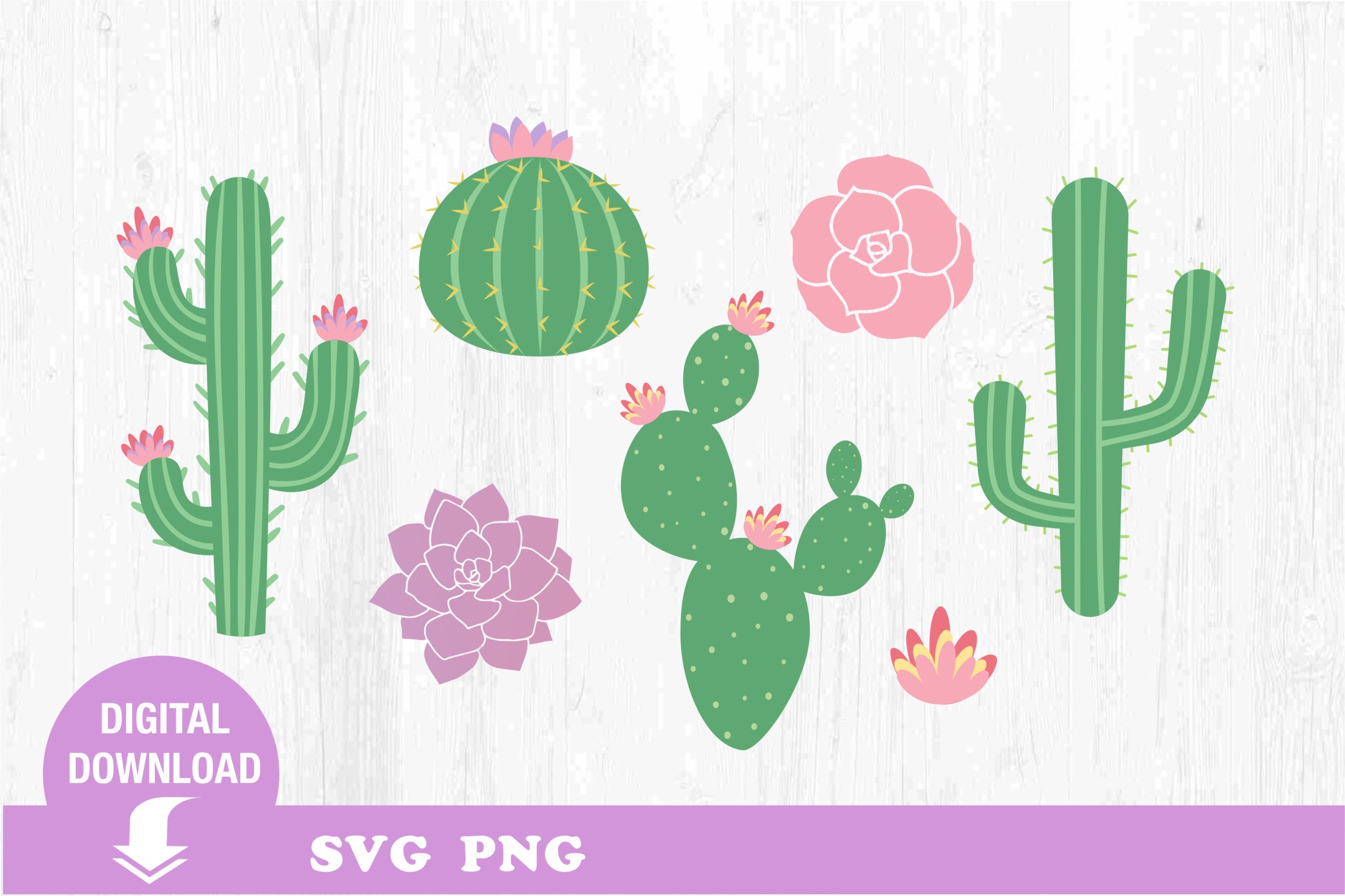 Cactus Bundle Svg. Succulent Svg. Сactus Vector. Plants Svg. Cactus Svg ...
