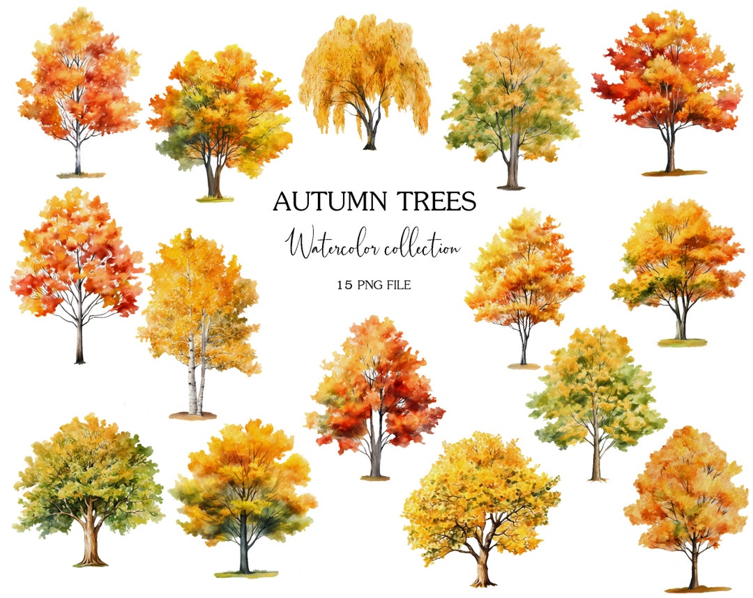 Fall Trees Watercolor Clipart, Autumn Trees Clipart, Forest Tree, Fall ...