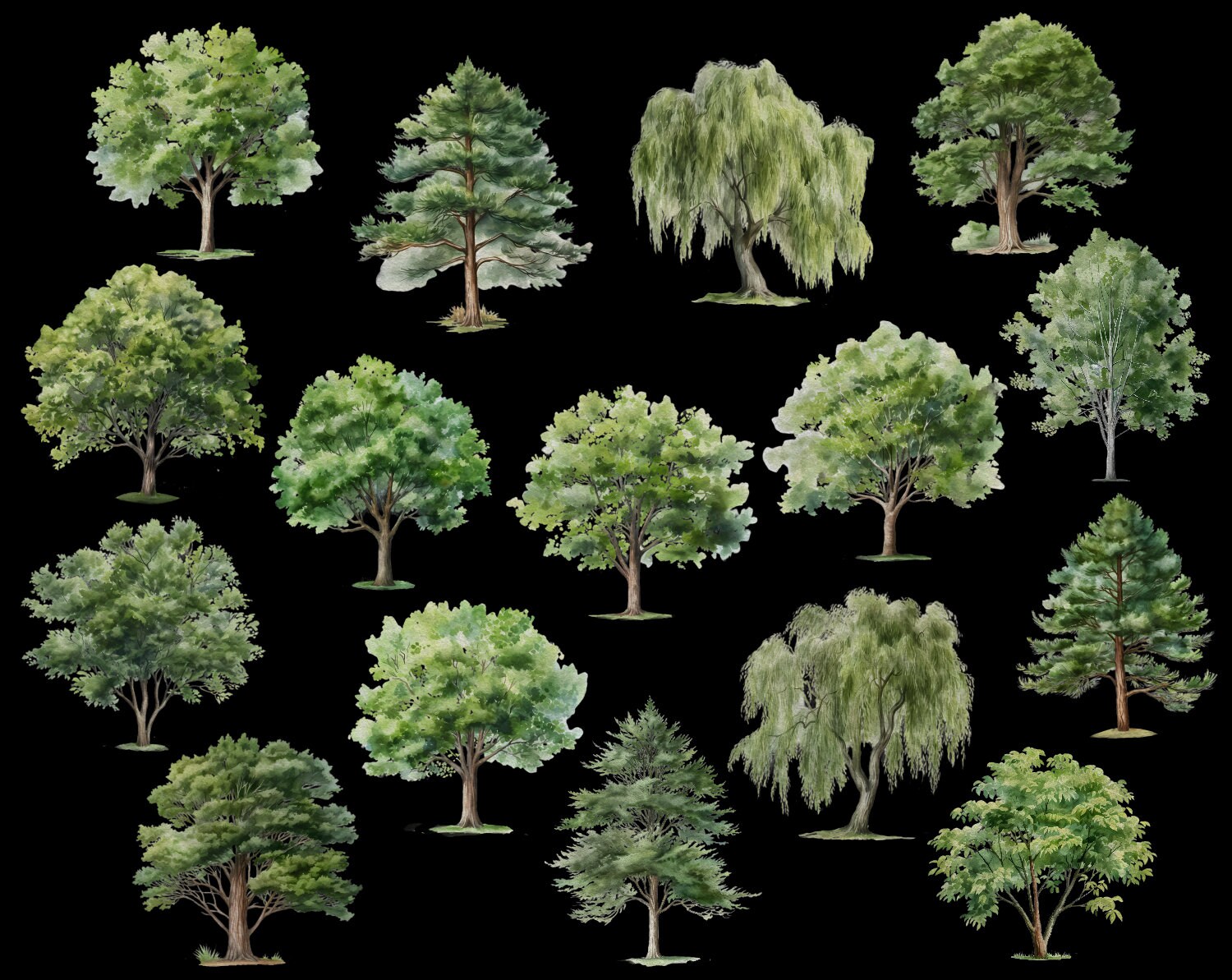 Green Trees Watercolor Clipart, Trees Clipart, Forest Tree, Woodland ...