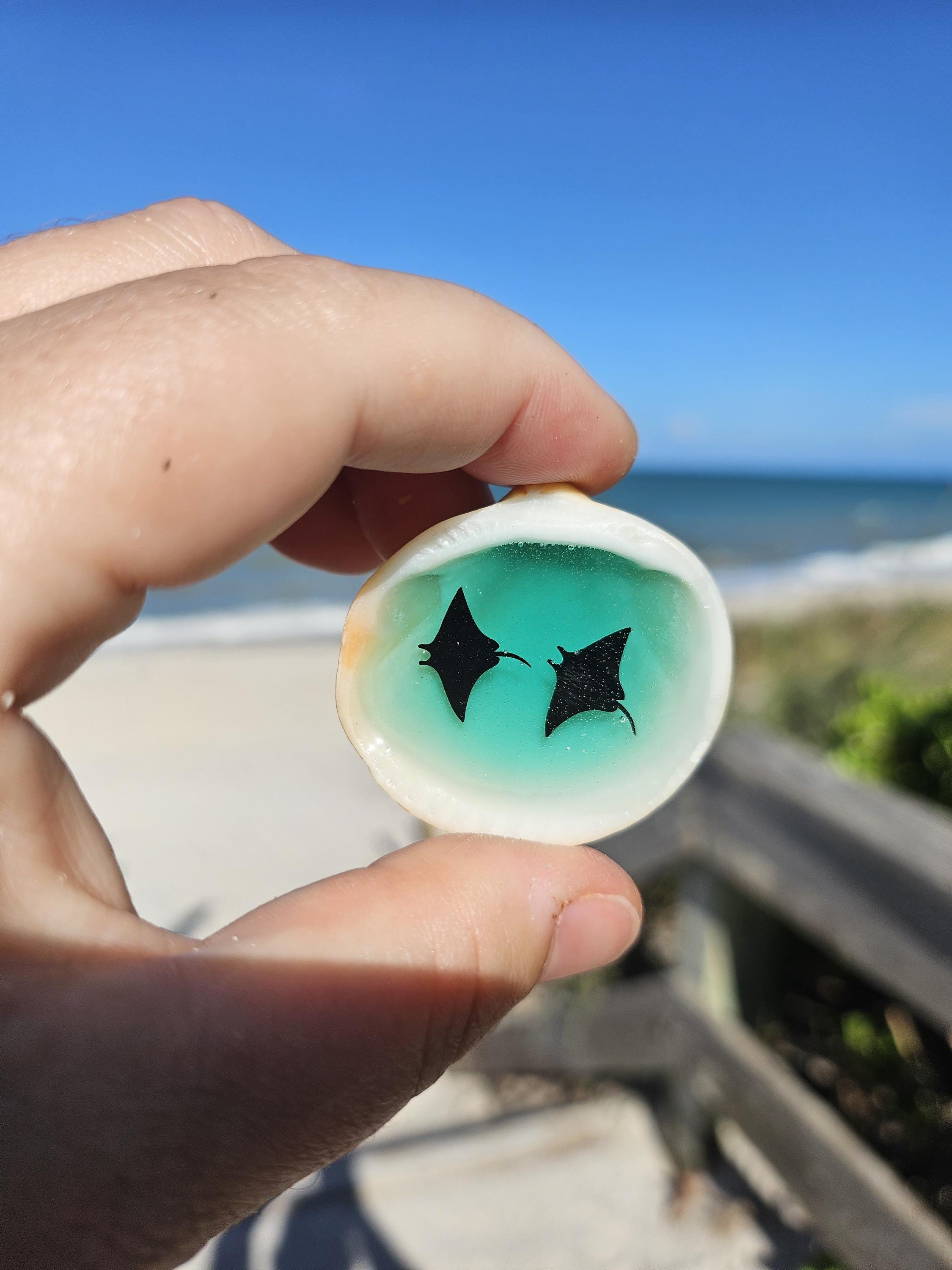 Pocket Hug Ocean Pal – Personalized Shell With Shark, Turtle, Mermaid ...