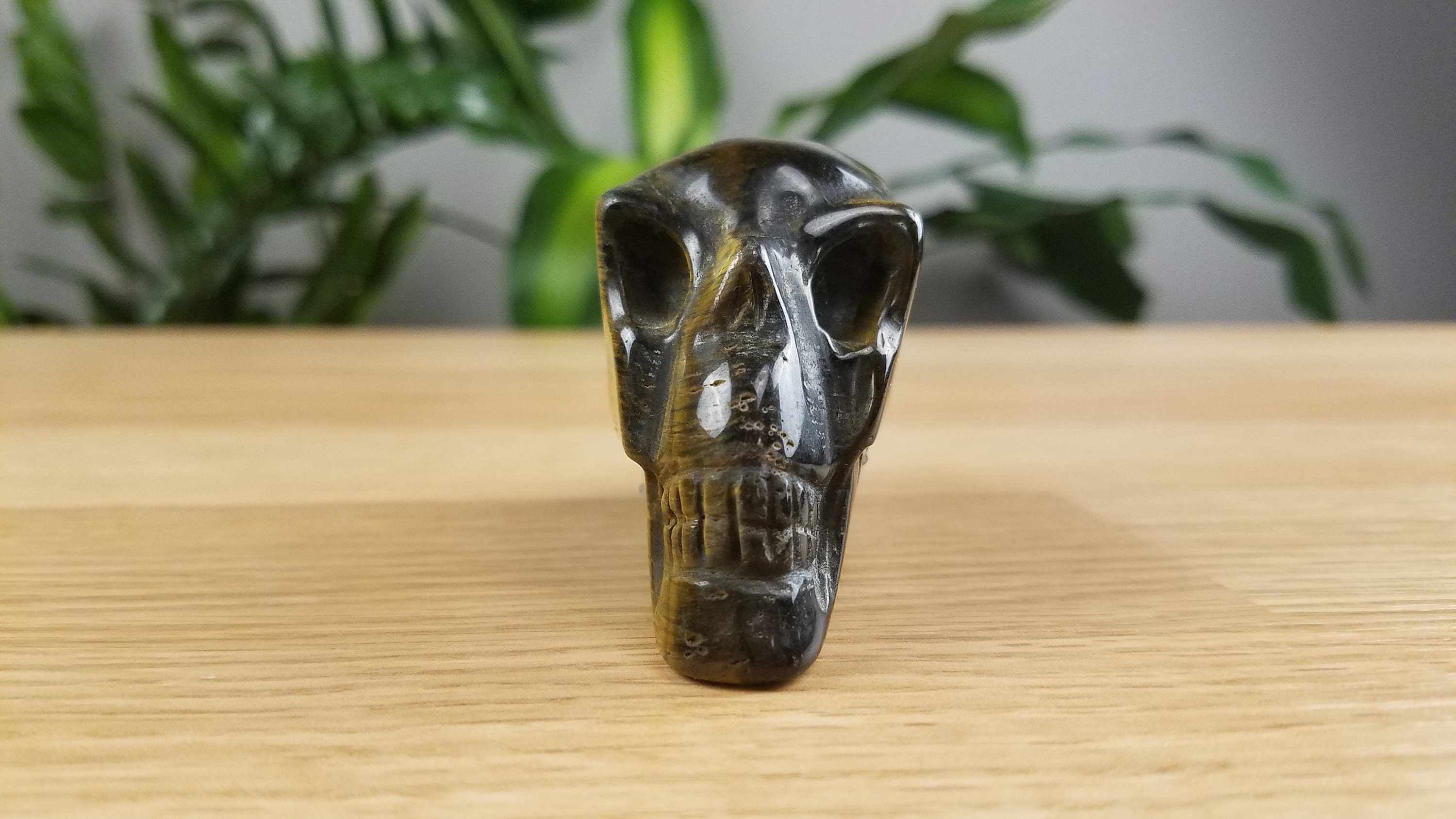 4 8.11oz Tigers Eye Oblong Skull Alien Skull Stone - Etsy.de