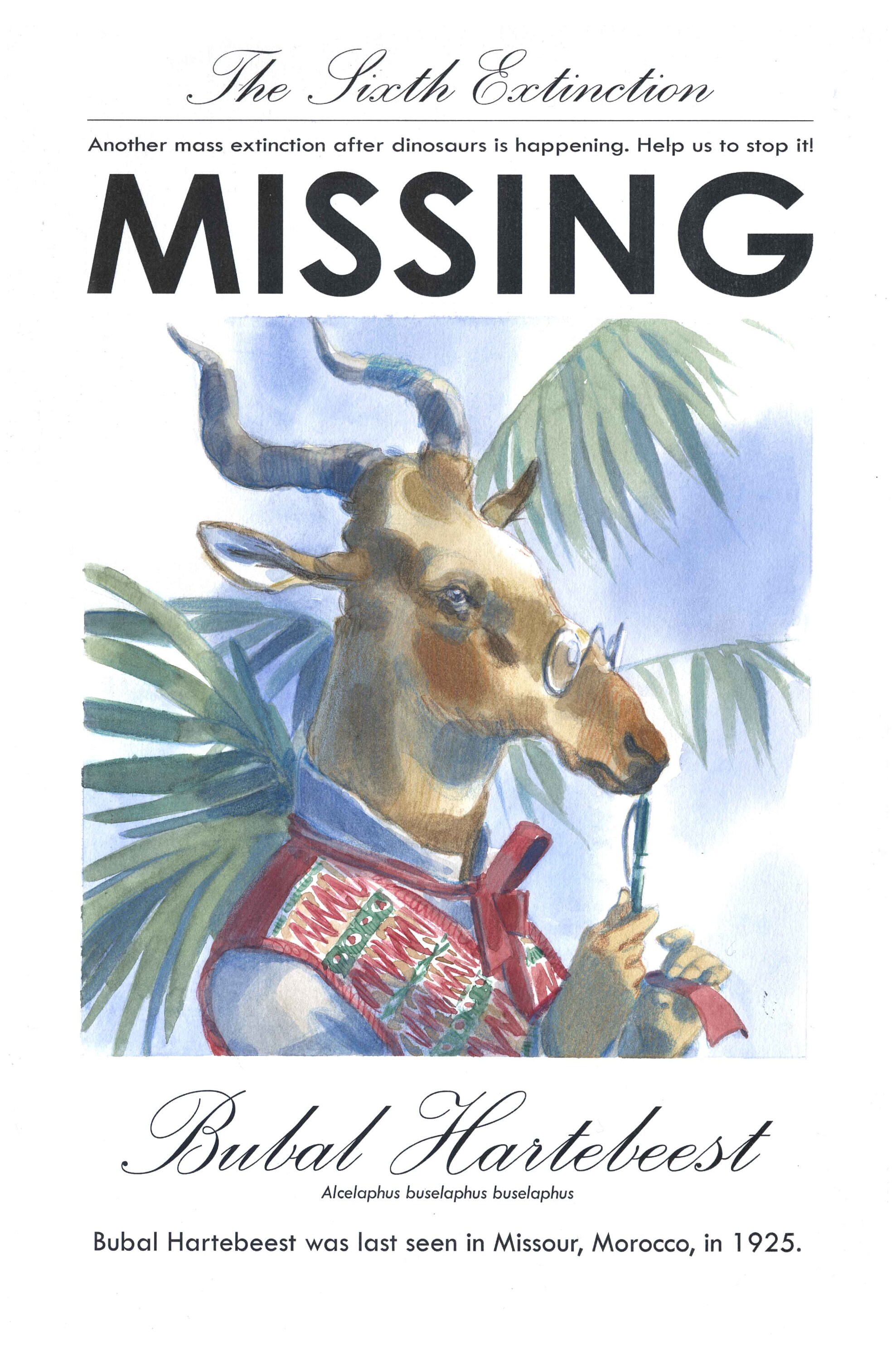 Original Watercolor and Color Pencil Art. Extinct Animals. Bubal ...