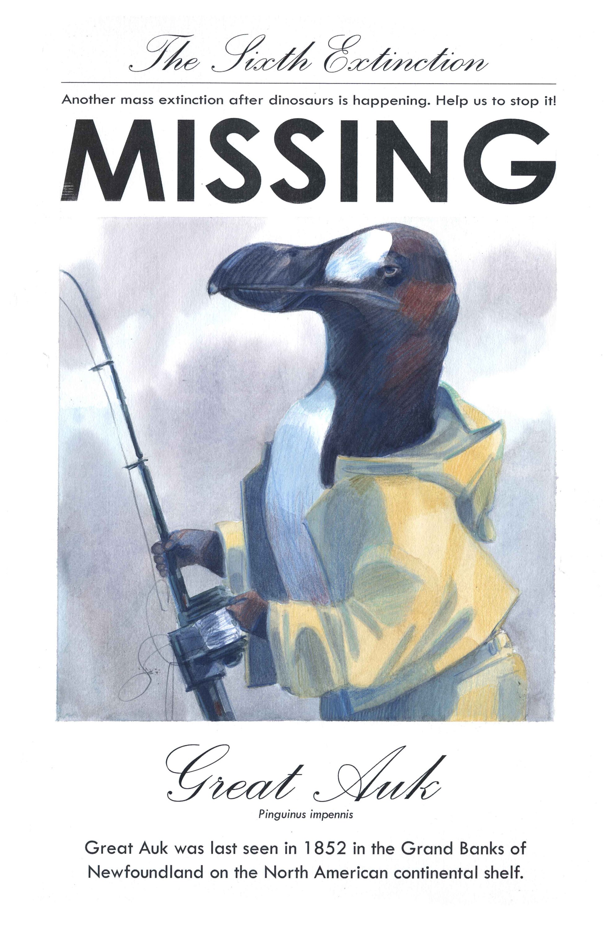 Original Watercolor and Color Pencil Art. Extinct Bird. Great Auk. A3 ...