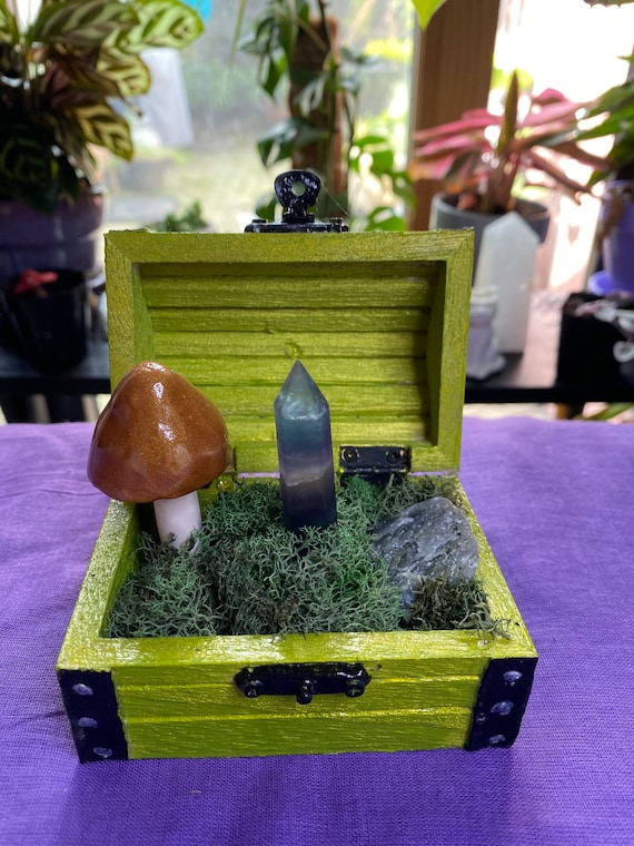 Slime Green Witchy Treasure Chest Spiritual Gifts - Etsy