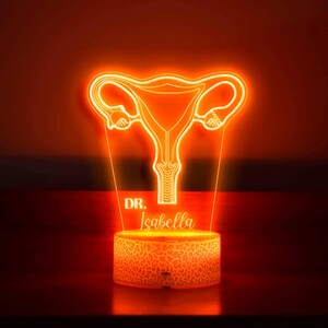 Personalized Gynecologist Gift, Night Light for Gynecologist ...