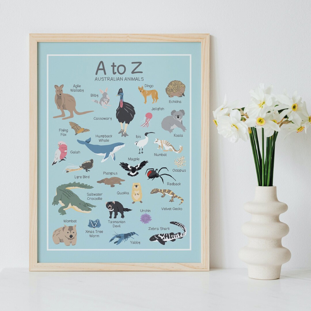 A-Z Australian Animals A3 Art Print | Made in Australia - Etsy