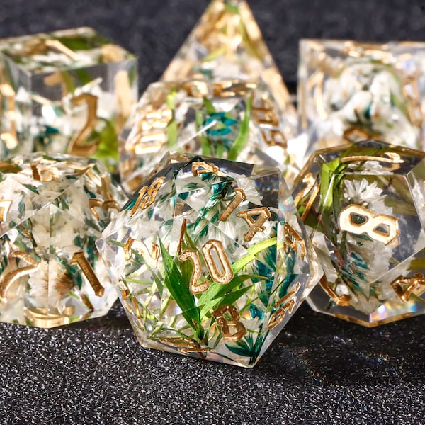 D&d Dice Plant - Etsy