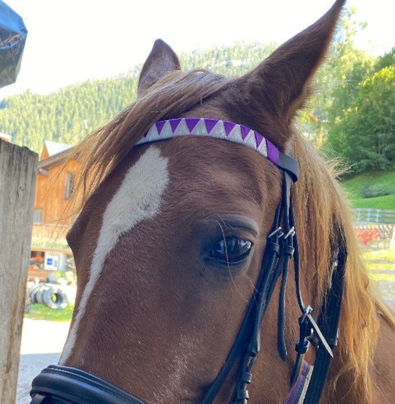 Bespoke browbands for horses three colours | Etsy