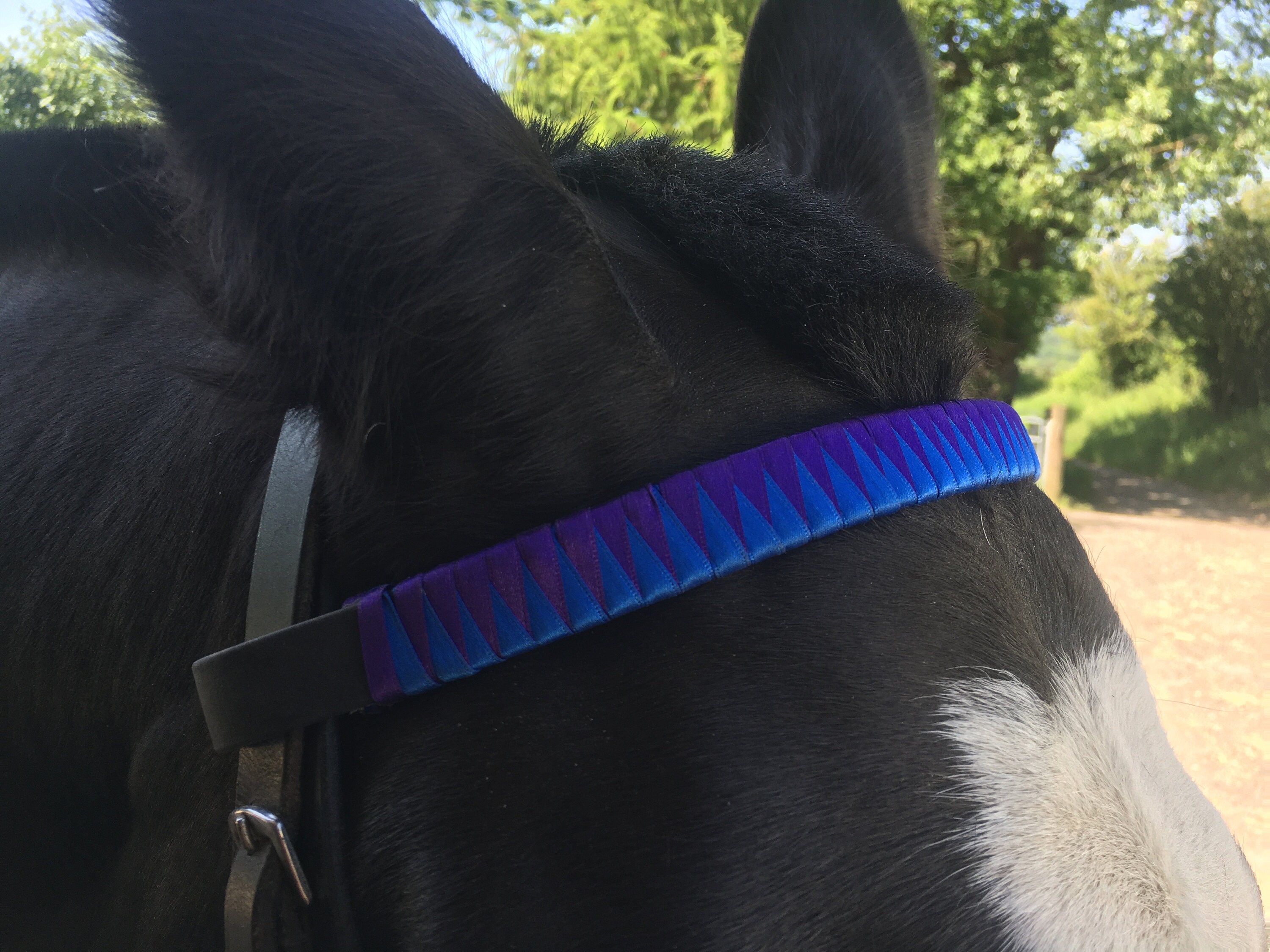 Bespoke browbands for horses two colours | Etsy