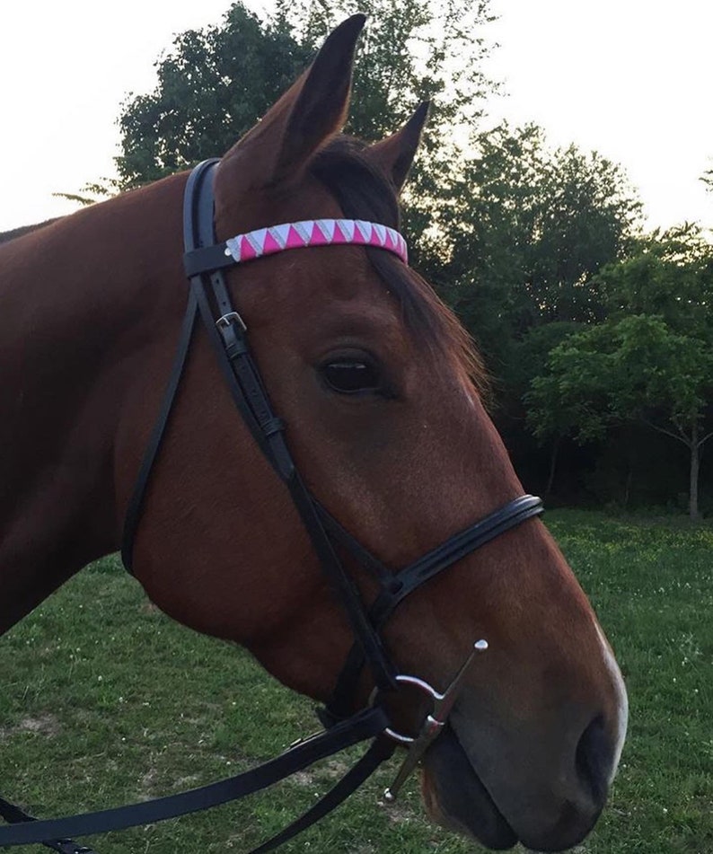 Bespoke Browbands for Horses three Colours | Etsy
