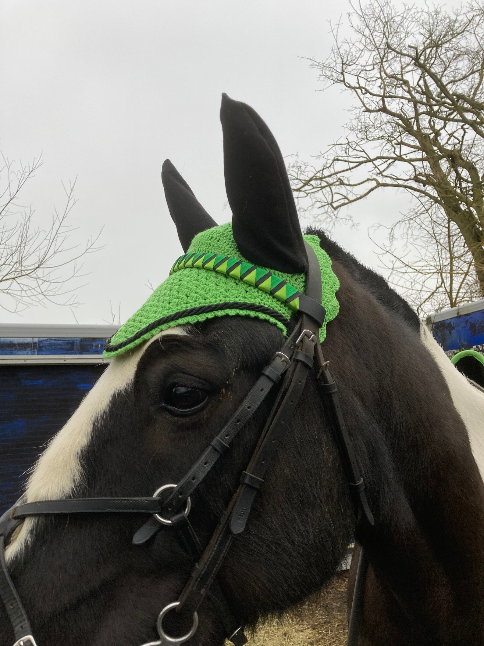 Bespoke Browbands for Horses three Colours | Etsy