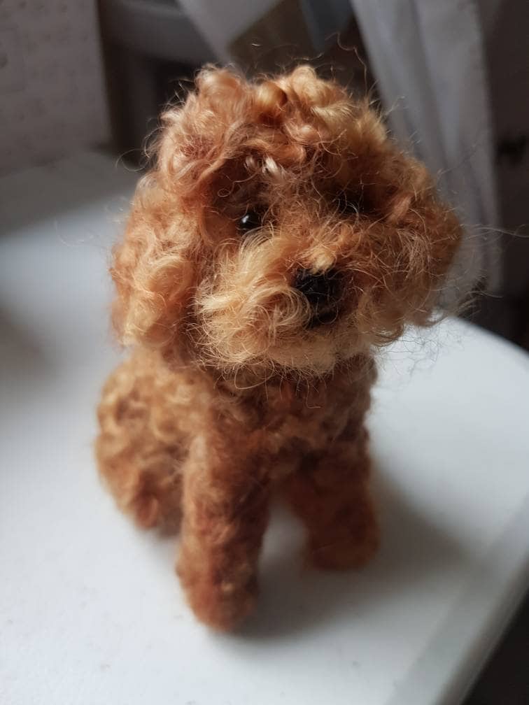 Needle Felted cockapoo - Etsy UK