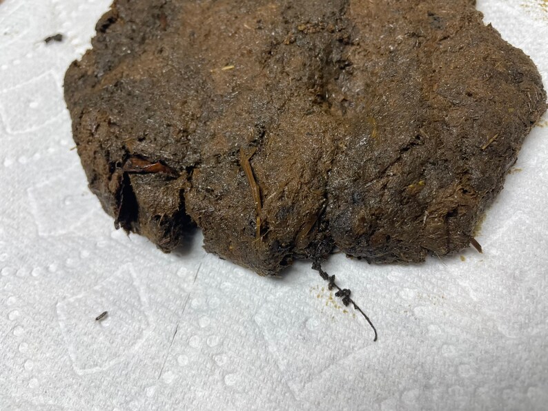 1 Pound FRESH Cow Manure/organic for Plant Growth and Other - Etsy