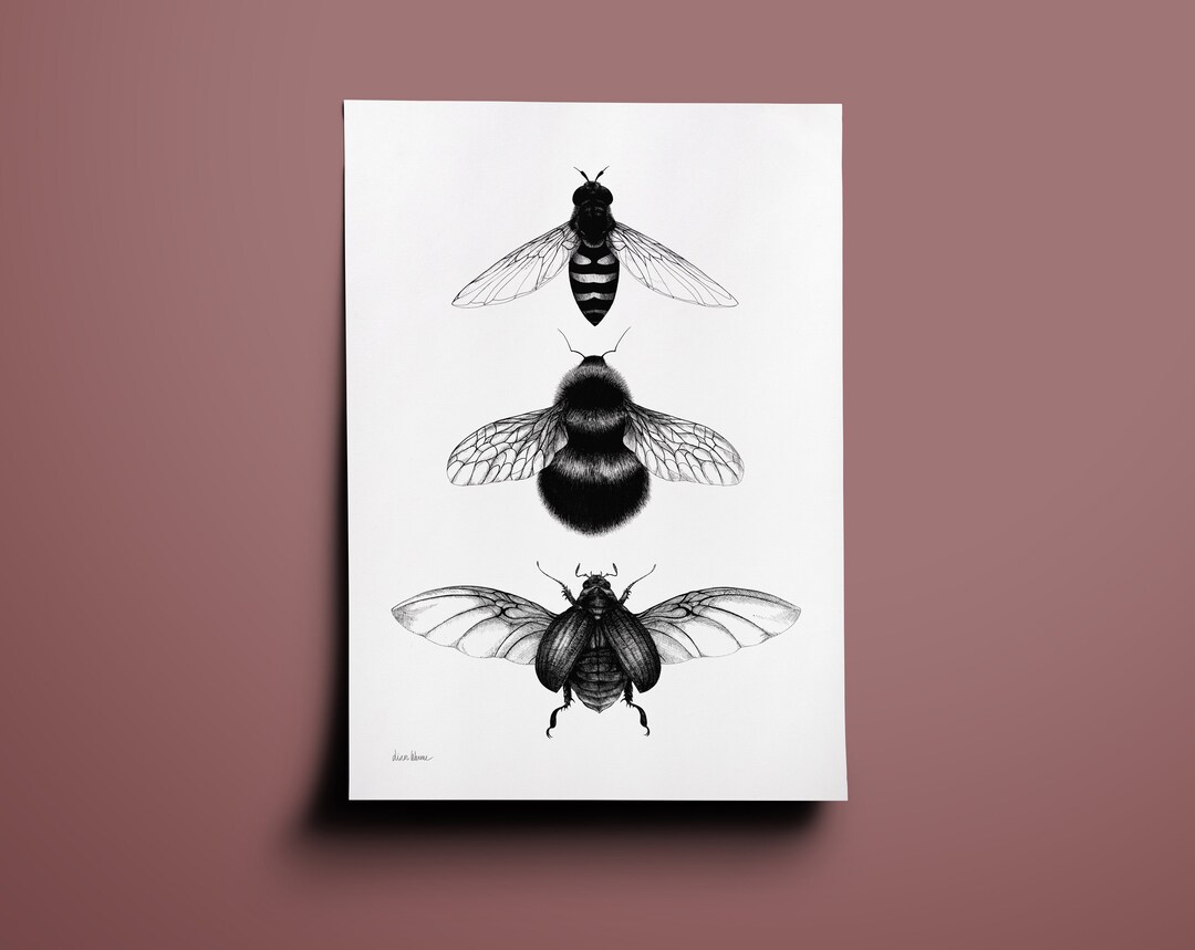 Modern Insects Print - Bumblebee Drawing Wall Art - Bug Ink ...