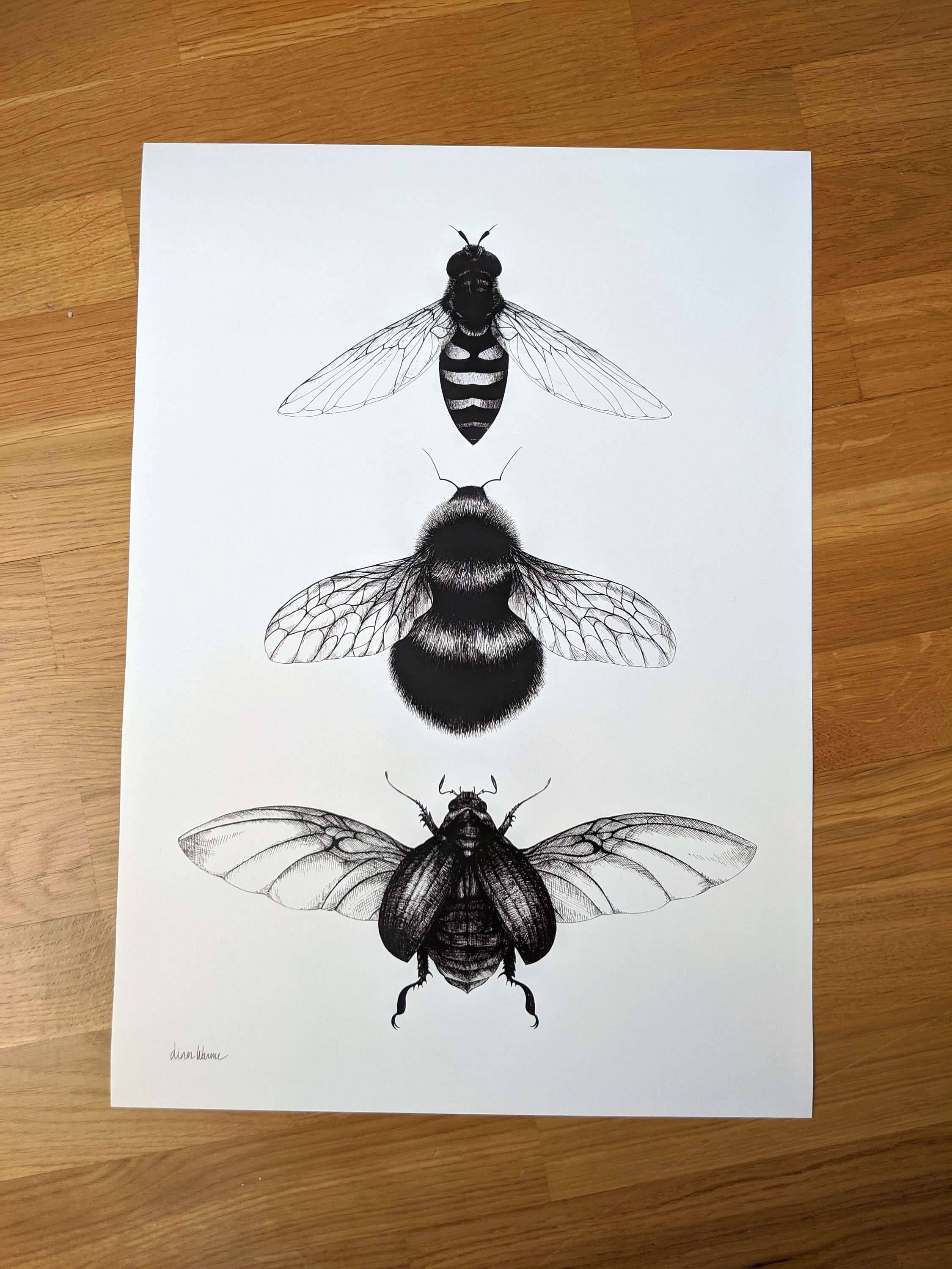 Modern Insects Print Bumblebee Drawing Wall Art Bug Ink Illustration ...