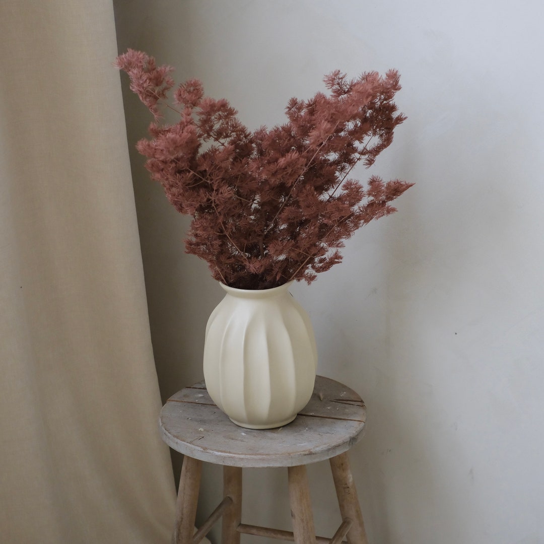 Preserved Ming Fern | Dried Ming Fern - Etsy