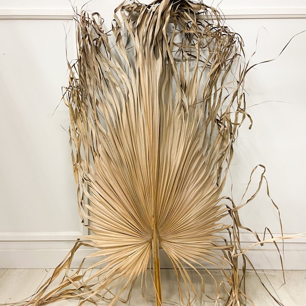 Palm Leaf Fans - Etsy