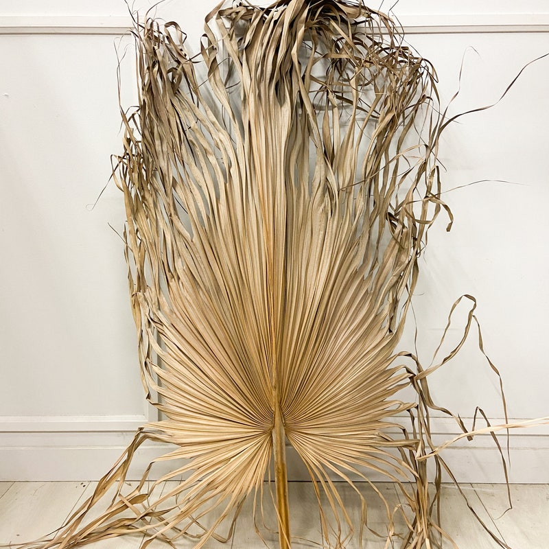 Palm Leaf Hand Fans - Etsy